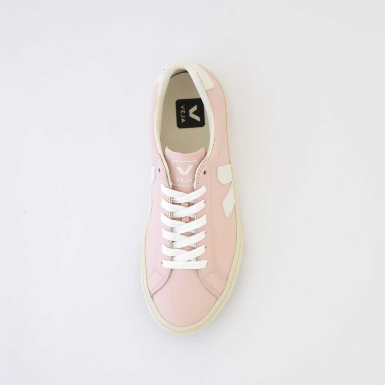 Esplar Logo Leather｜Petale White – everly